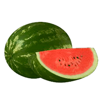 Come coltivare l'anguria - Tutto sull'orto