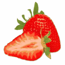 Come coltivare la fragola - Tutto sull'orto
