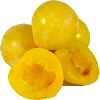 Mirabolano - Tutto sull'orto